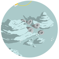 ENG/Produits/OrphieCam300 - i2S Orphie